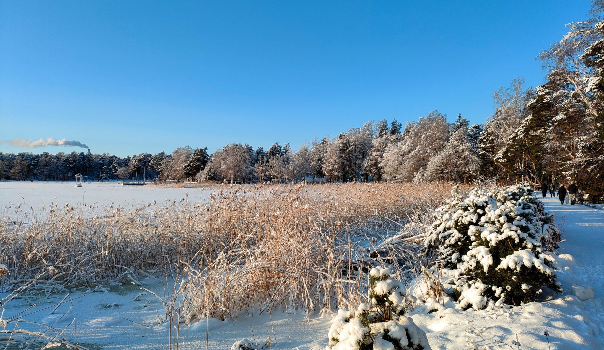 Итоги 2023 | Миша Санников на snnkv.com